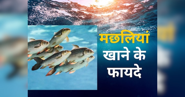 What Are The 10 Health Benefits Of Eating Fatty Fish Machhliyan Khane ...