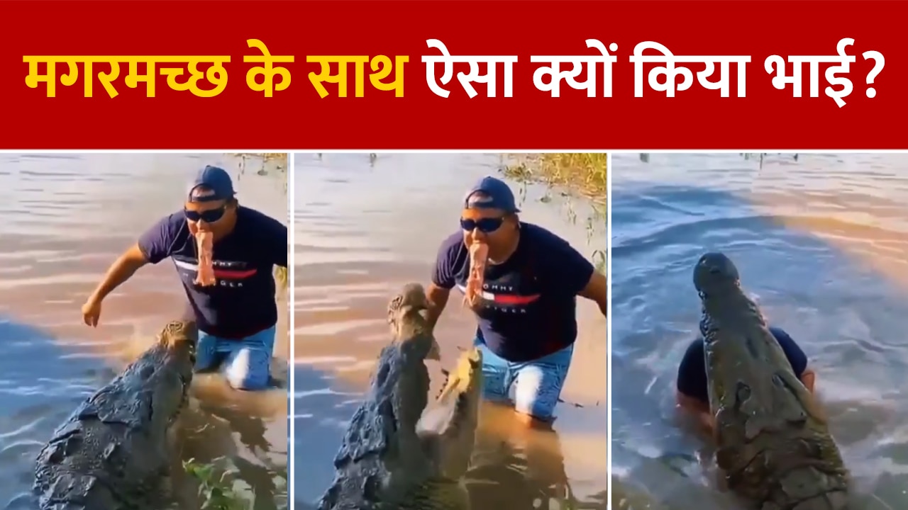 crocodile viral video man playing with deadly animal feeding flesh with ...