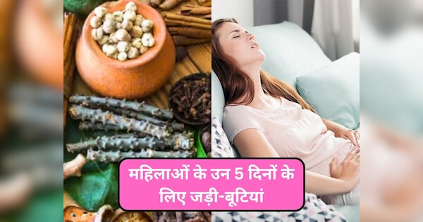 pms problem in women should use these effective herbs during periods ...
