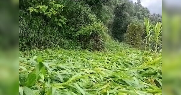 Chamba news in hindi due to heavy rainfall and landslide 17 crore rupee ...