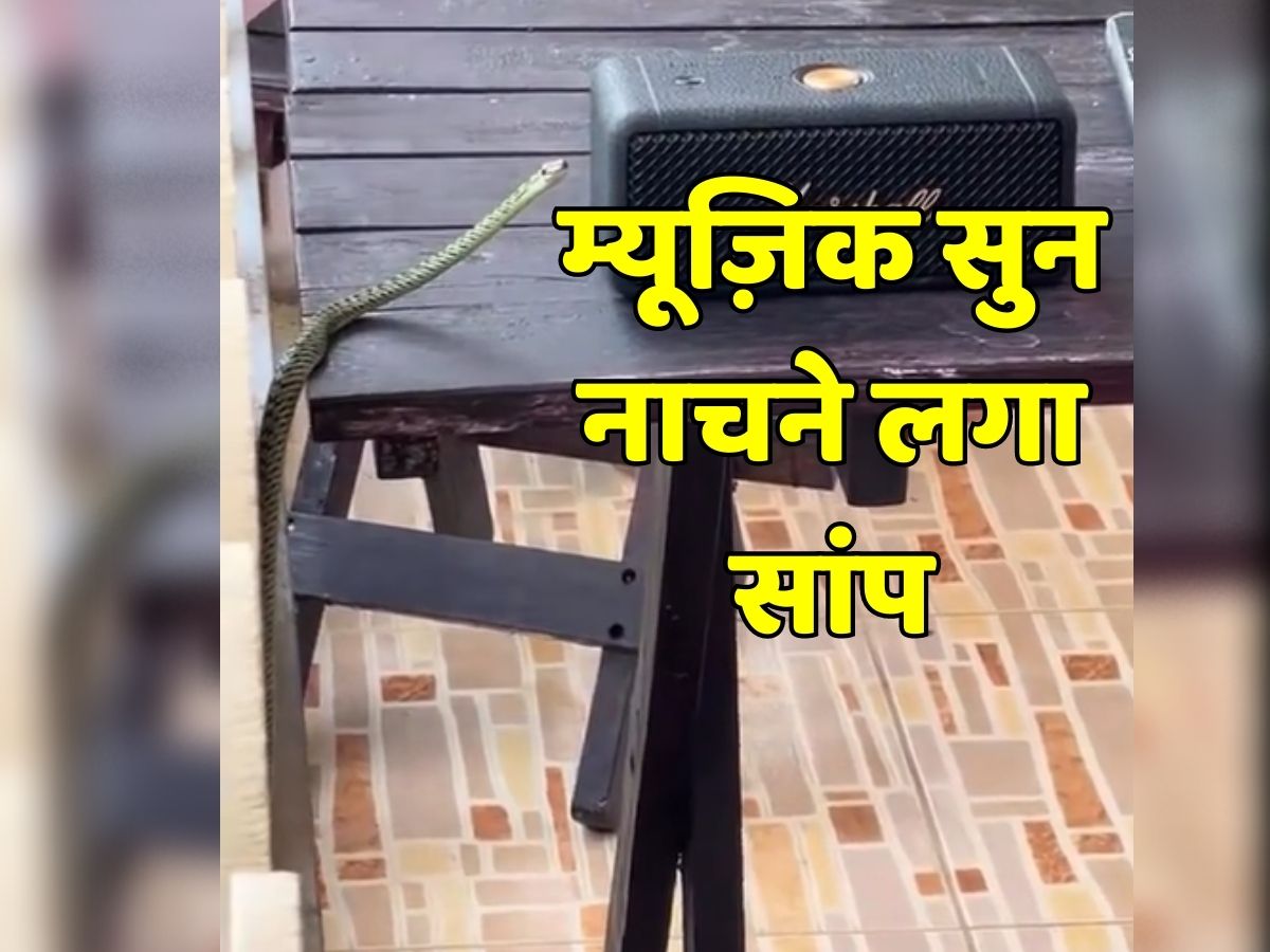 King Cobra video Music was playing on speaker then snake started ...