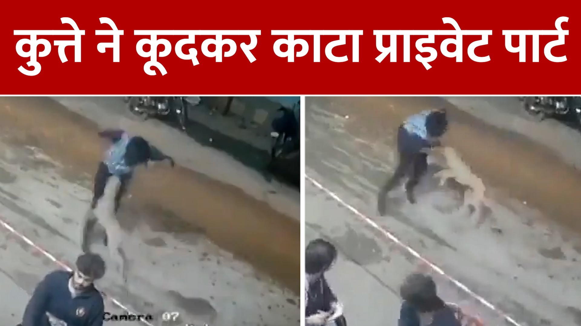 street dog attack on man private part aadmi ke guptang par kutte ka ...