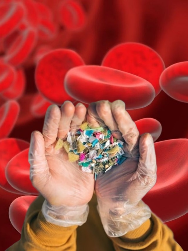 Microplastic Danger For Health These Foods Adding Plastic In Blood ...
