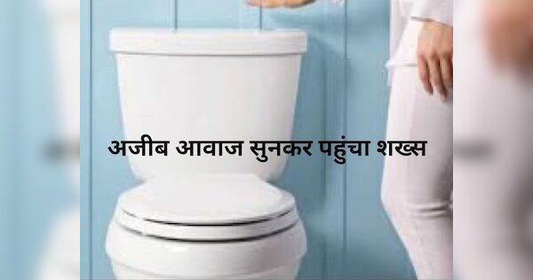 frog colony inside toilet seat man shocked to watch it video out ...