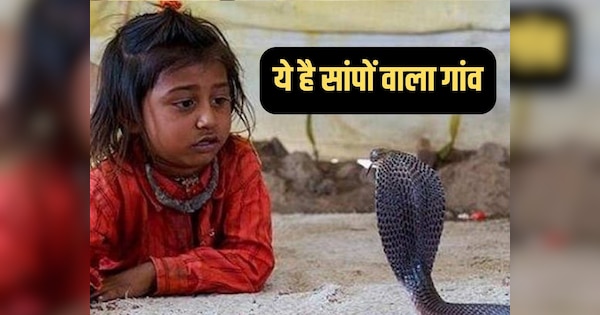 Snake Village Many snakes live in every house of this village children ...