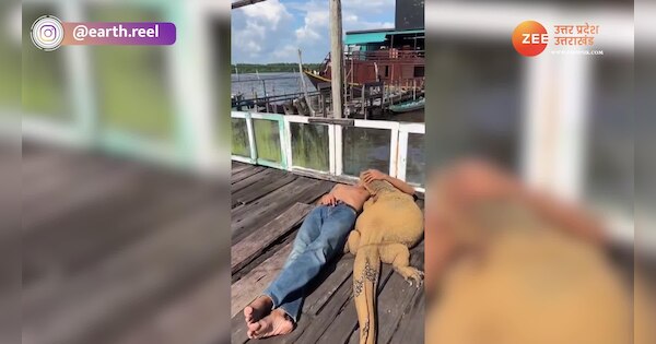 man doing romance with monitor lizard most shocking video gone viral on ...