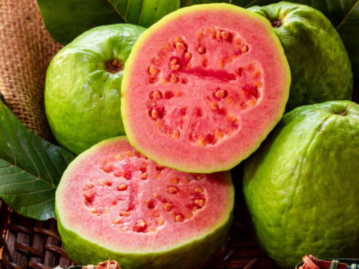 benefits of guava for different health problems amrood ke patto ke ...
