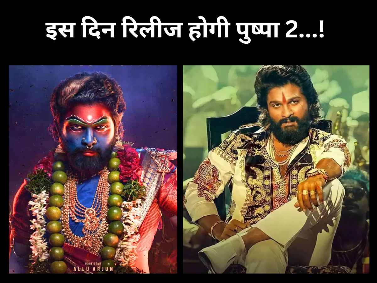 Pushpa 2 National Award Winner Allu Arjun movie pushpa sequel will ...