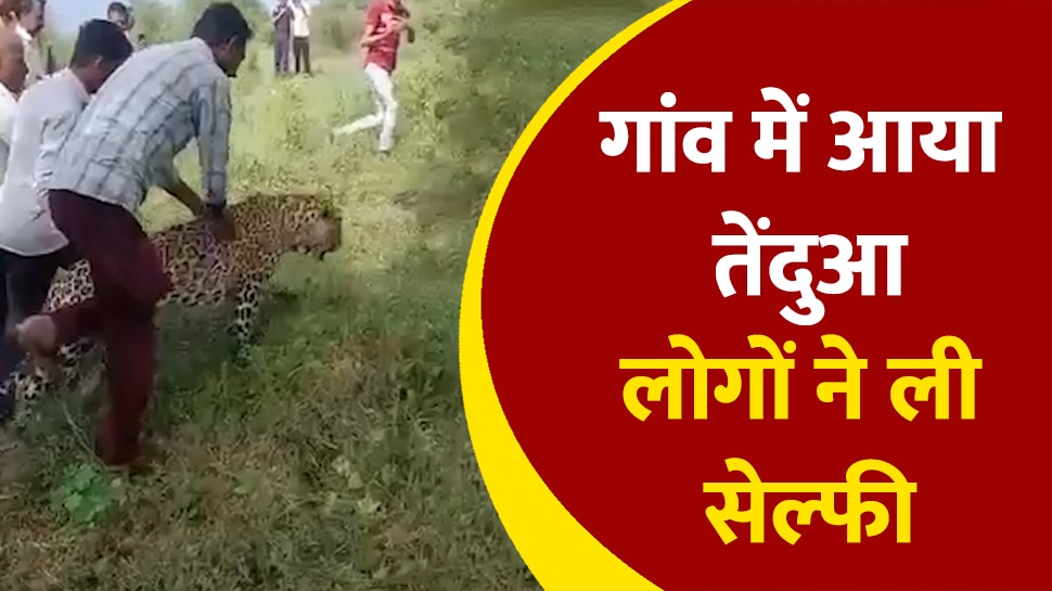 People seen taking selfie in eklera mata jungle in Dewas of madhya ...