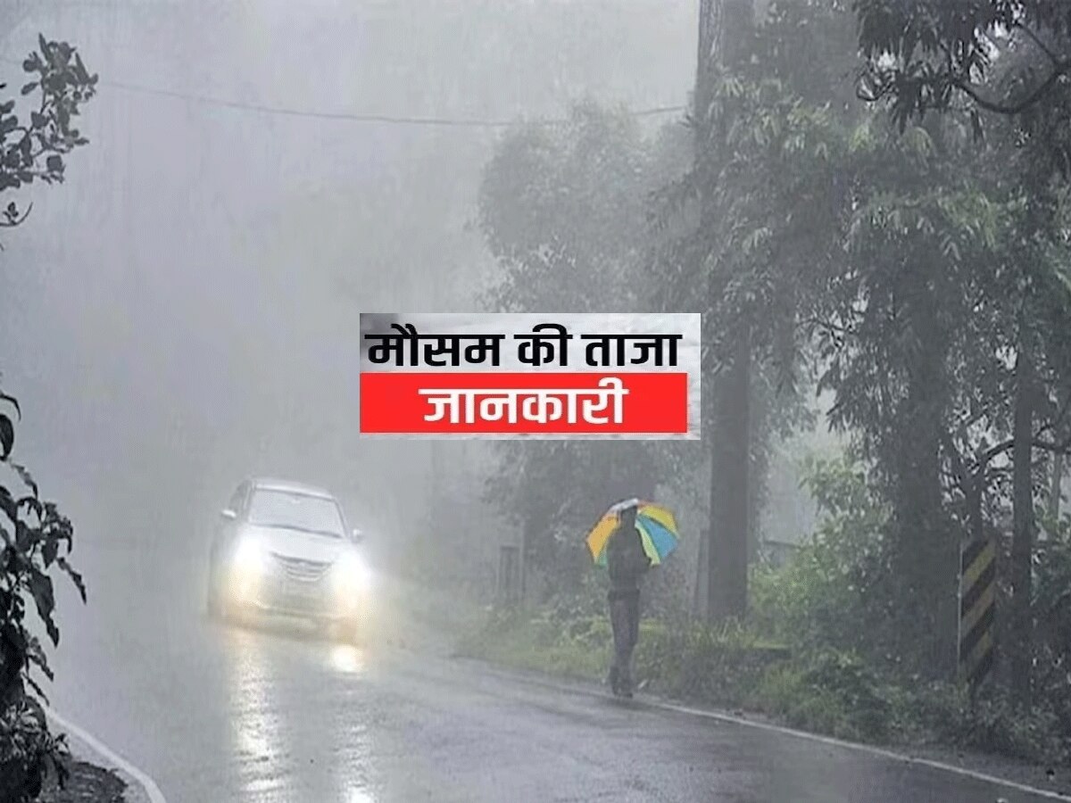 Sunday 3 September Weather update rainfall alert Delhi Haryana Punjab ...