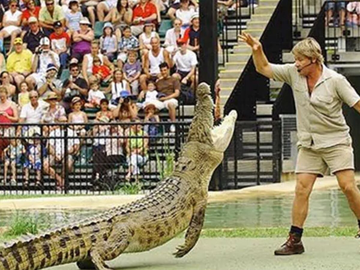 Crocodile Hunter Steve Irwin interesting facts and how did he die ...