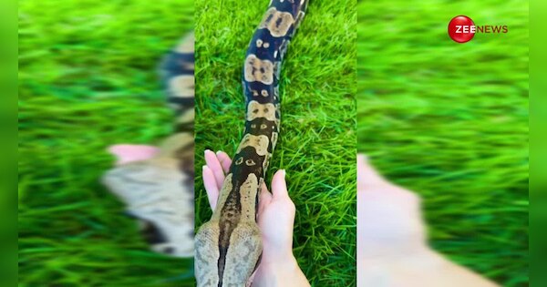 most beautiful python ever will forgot nag nagin watch haseena of ...