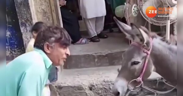 Aadmi Aur Gadha Pakistani Man Crossed Limit With Donkey On Road Indian ...