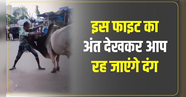 sharabi aur saand fight viral on the road drunk man roamnce saand ka ...