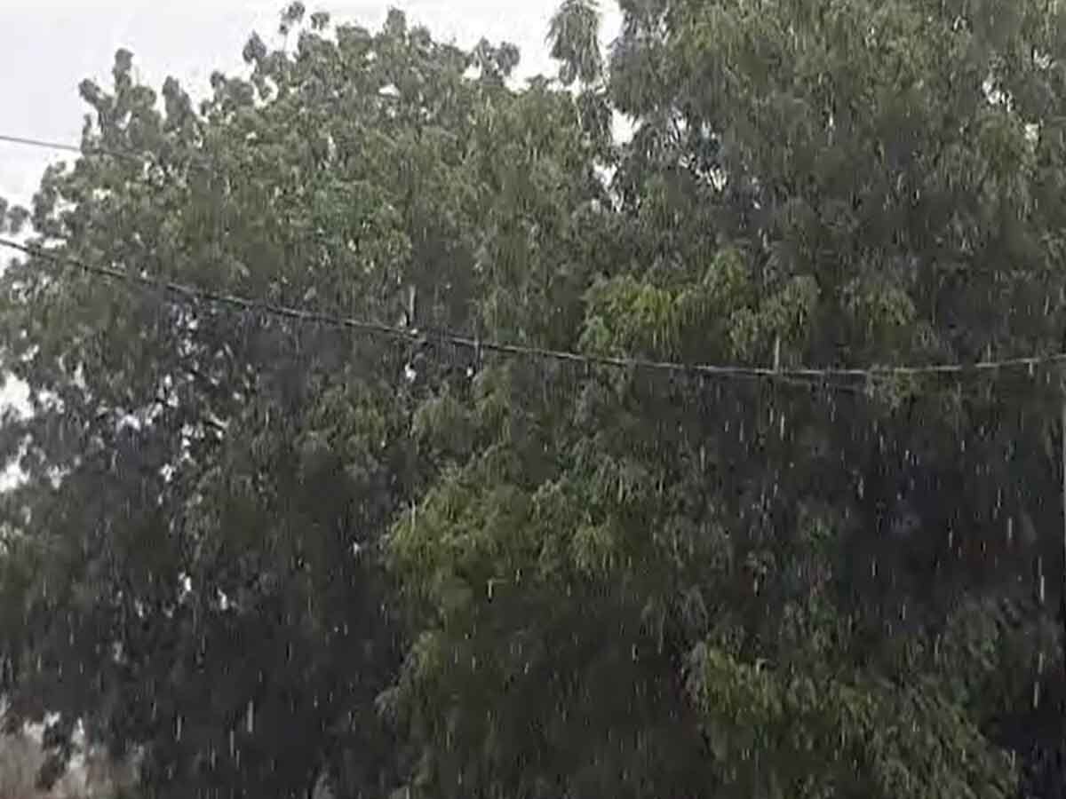 Churu News Before Janmashtami rain welcomed Kanha weather became ...