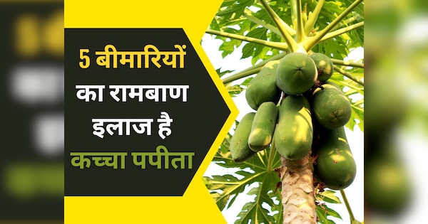 Raw papaya benefits constipation to weight loss 5 amazing benefits of ...