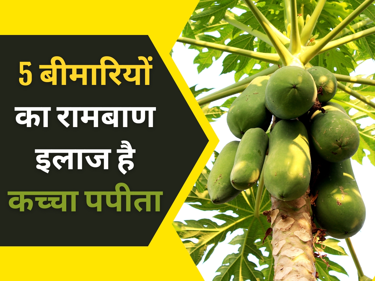 Raw papaya benefits constipation to weight loss 5 amazing benefits of ... Raw papaya benefits constipation to weight loss 5 amazing benefits of ...