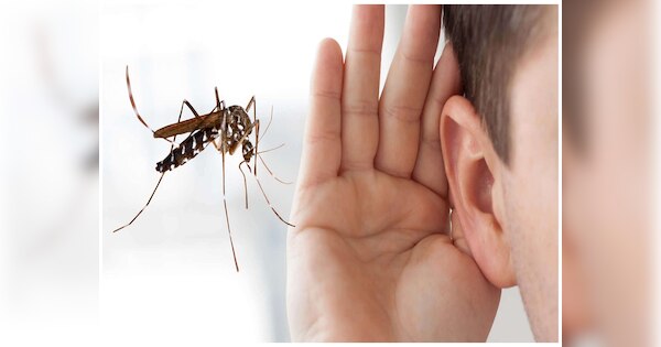 Why mosquito Buzz on Peoples Ear near your ear make annoying noise ...