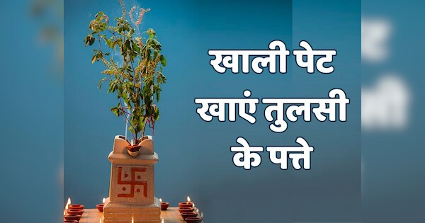 Benefits of Tulsi Eat basil leaves on an empty stomach tulsi ke fayde ...