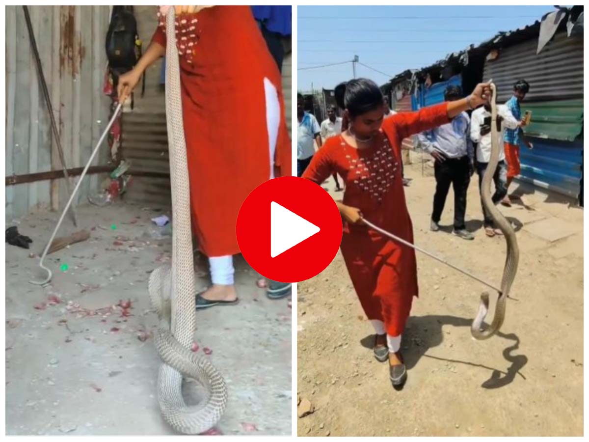 snake viral video girl catch the snake crowd gathered | लड़की ने पकड़ ...