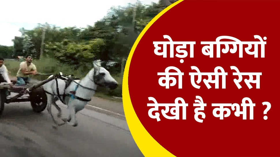 baghpat viral video of ghoda gadi race on street most shocking video ...