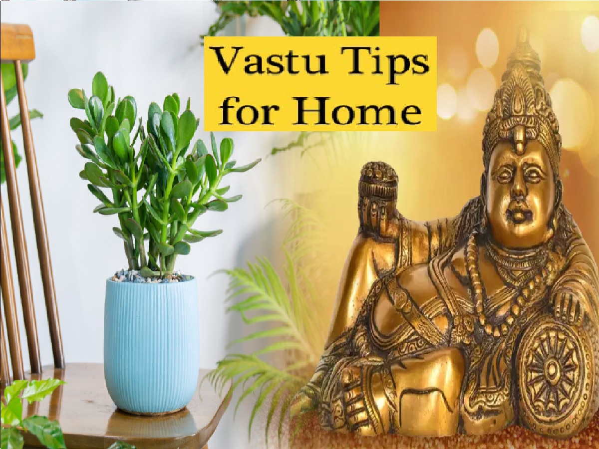 vastu tips for kuber plant know right direction to put at home to solve ...