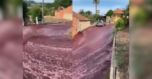 Portuguese city drowned in liquor flood, more than 20 lakh liters of ...