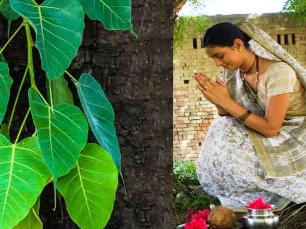 Guruwar Vastu and astro tips in hindi do this remedy to impress Lord Vishnu and Lakshmi on ...