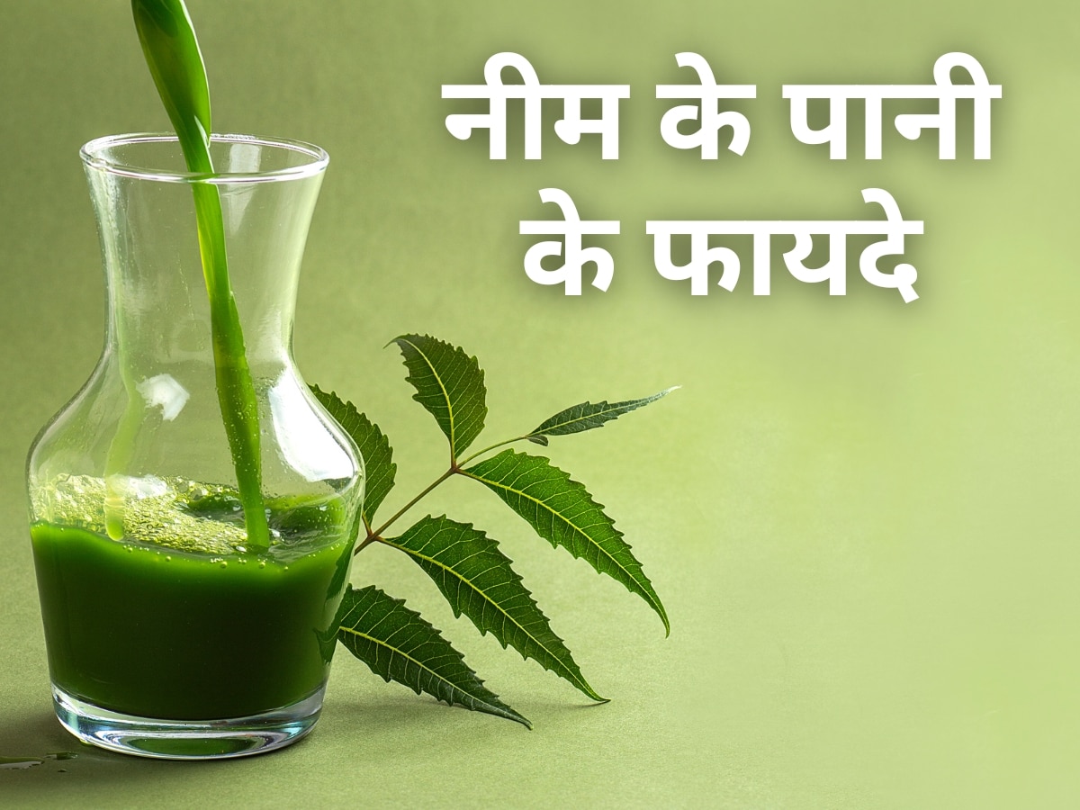 Nimbin compound rich neem leaves water will give you 6 benefits what is ...