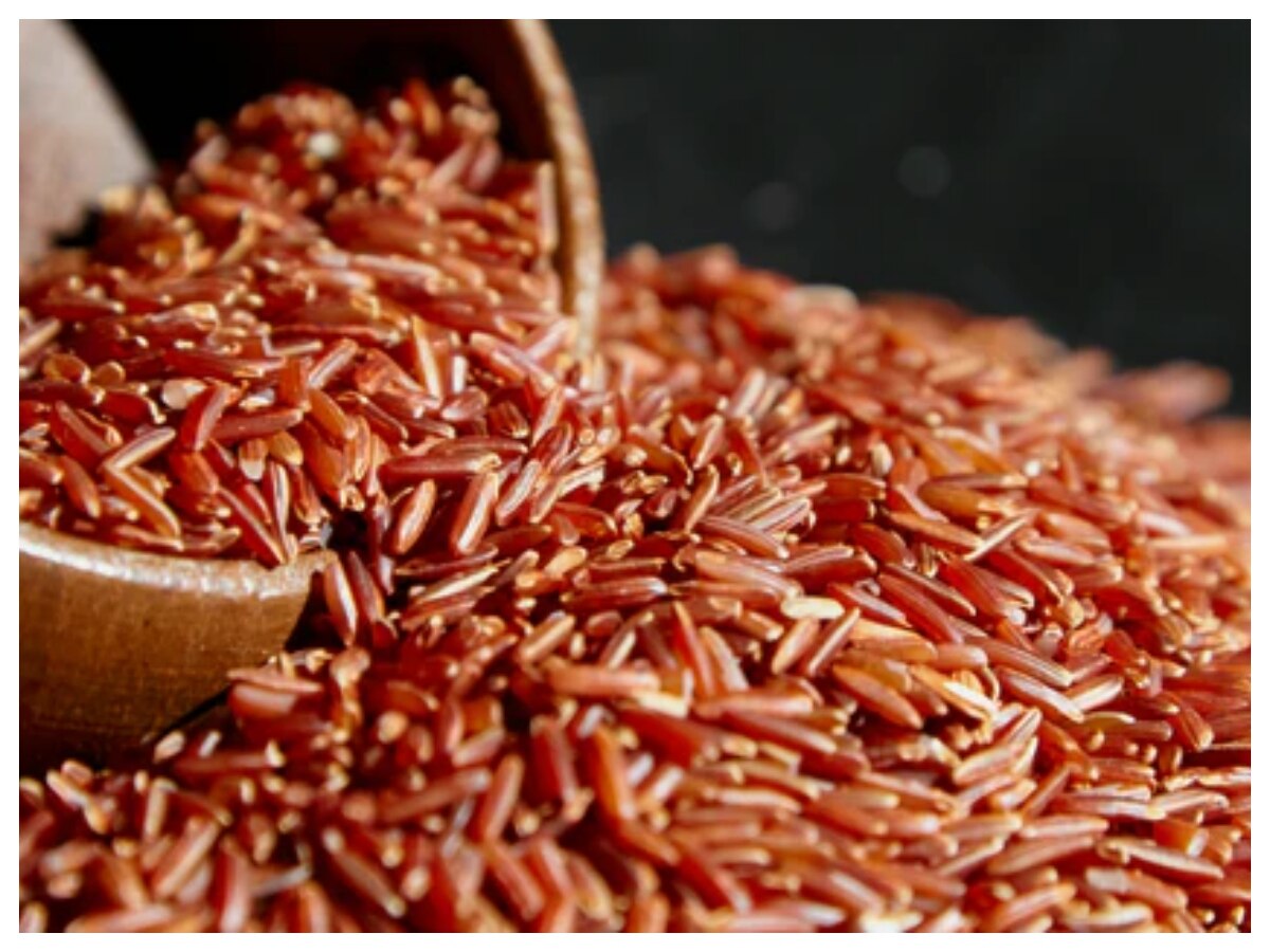 most expensive rice in world you will be shocked to know price | ये है ...