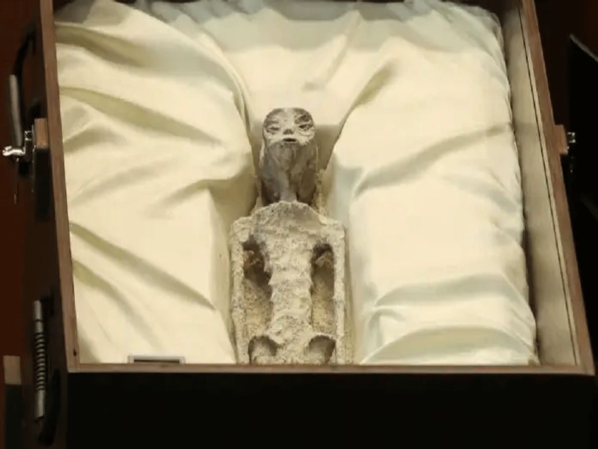 Alien Photos Dead body of alien shown in Mexico now these questions ...