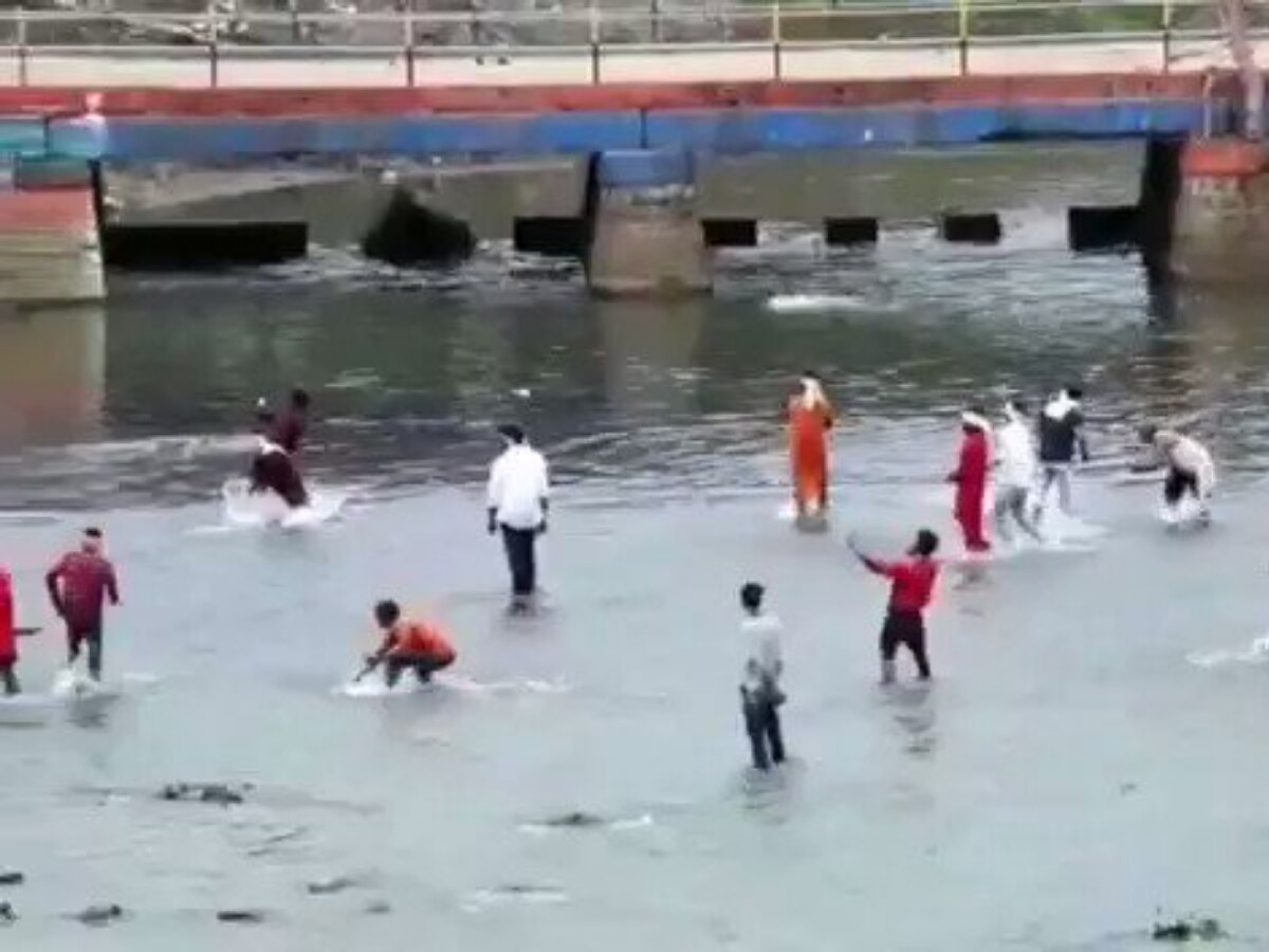 gotmar mela in pandhurna new district of mp 12 dead stone pelting ...