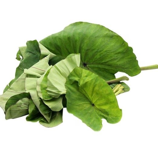arbi ke patte ke fayde Taro leaves health benefits | थाली के आकार के ये ...