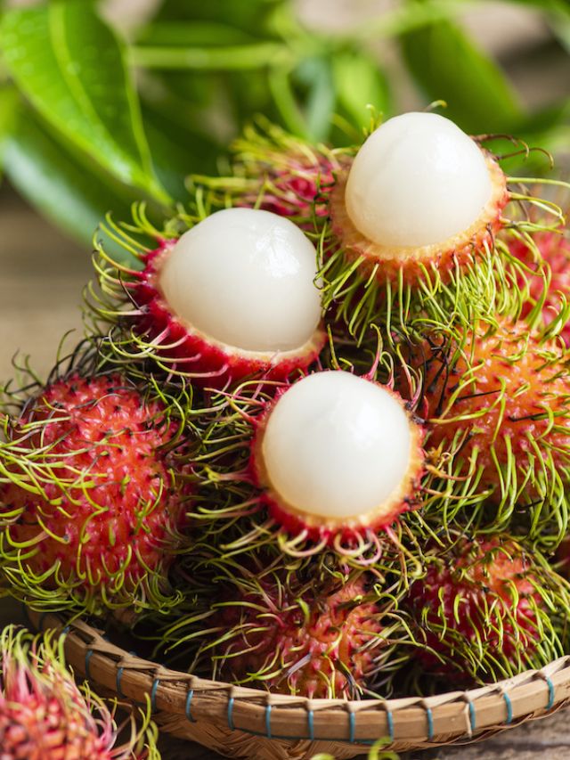Rambutan Health Benefits Rambutan khane ke fayde-कई बीमारियों का रामबाण ...