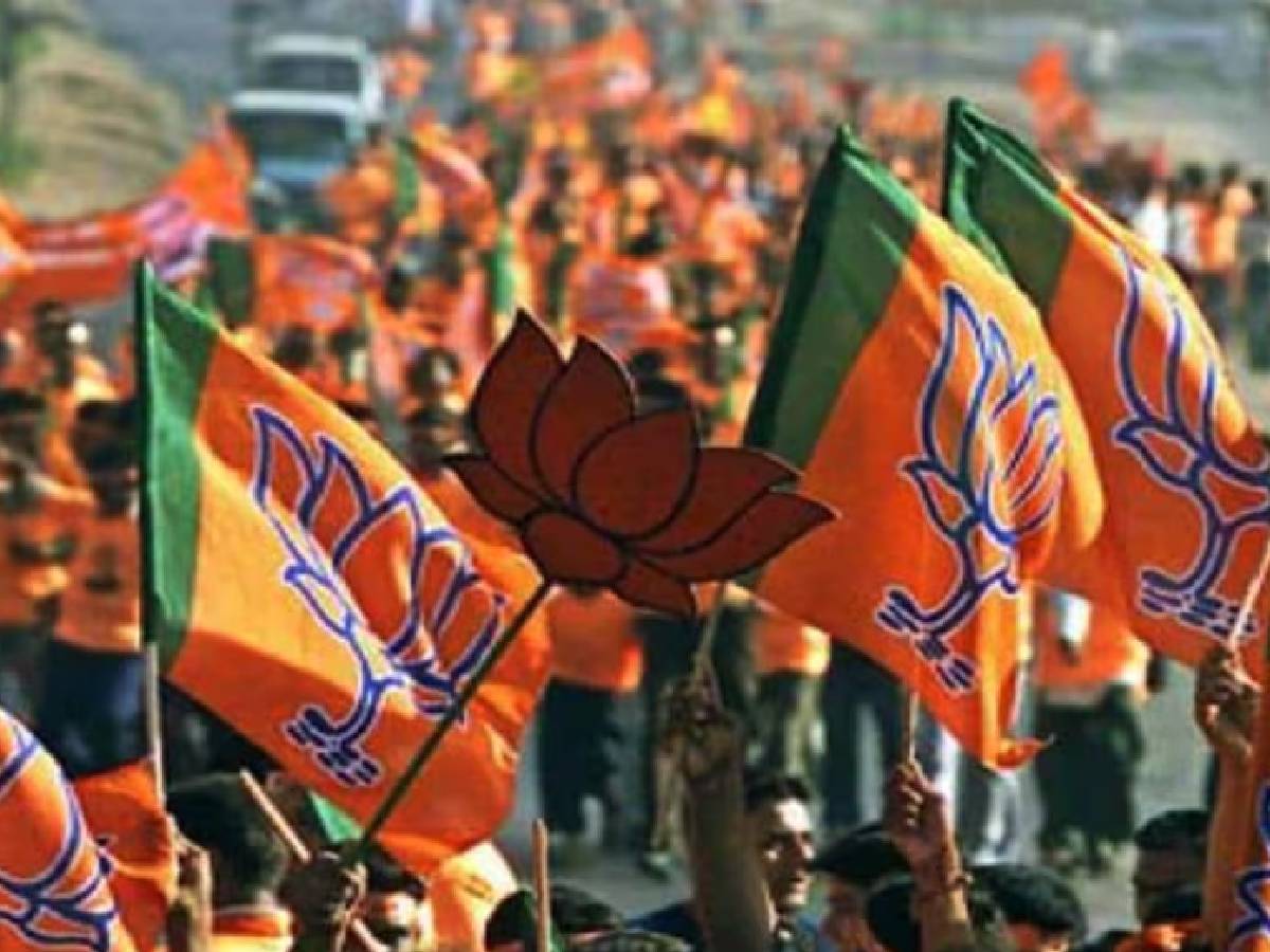 former mla mamta meena resigns from bjp contest mp assembly elections ...
