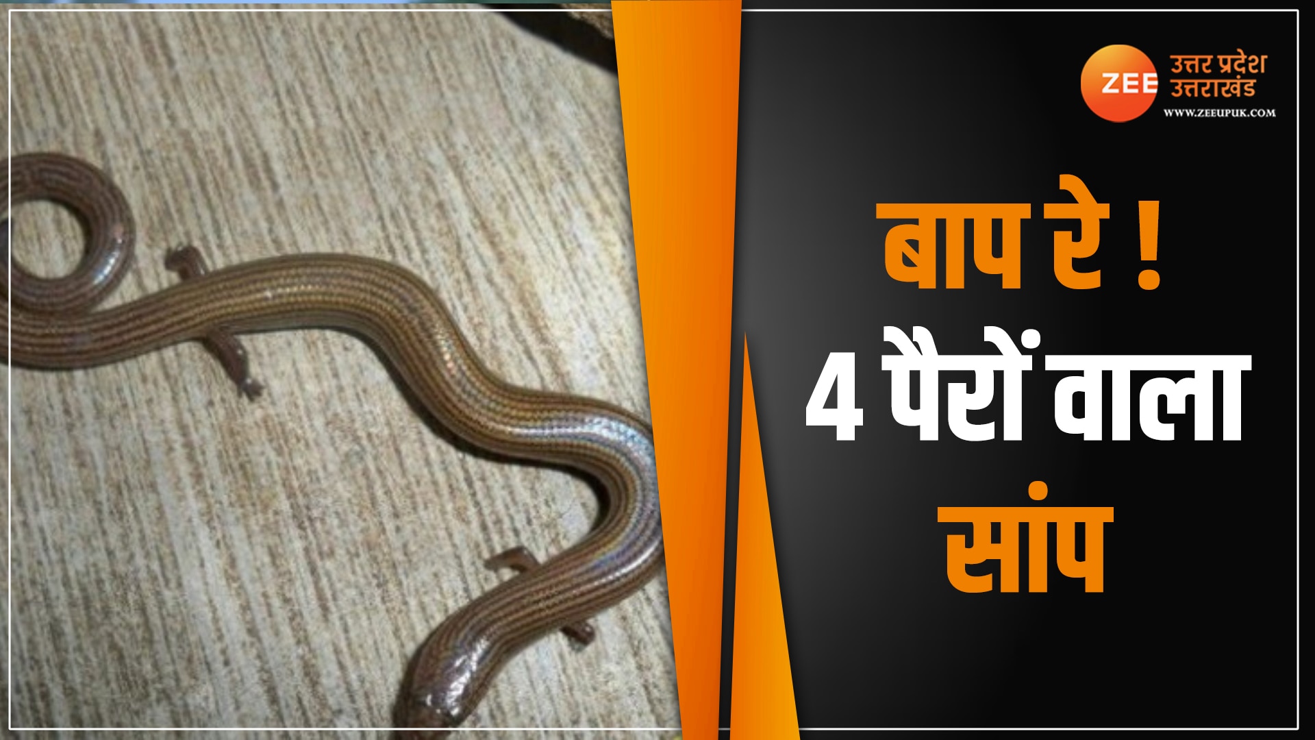 ajab gajab video four legs snake viral video char pero vala saanp ...