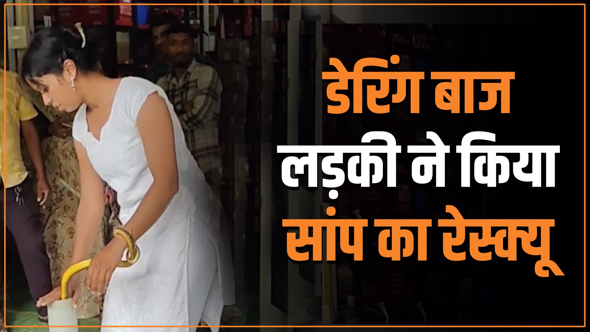 daring girl rescue many snake video viral at social media ladki ne kiya ...