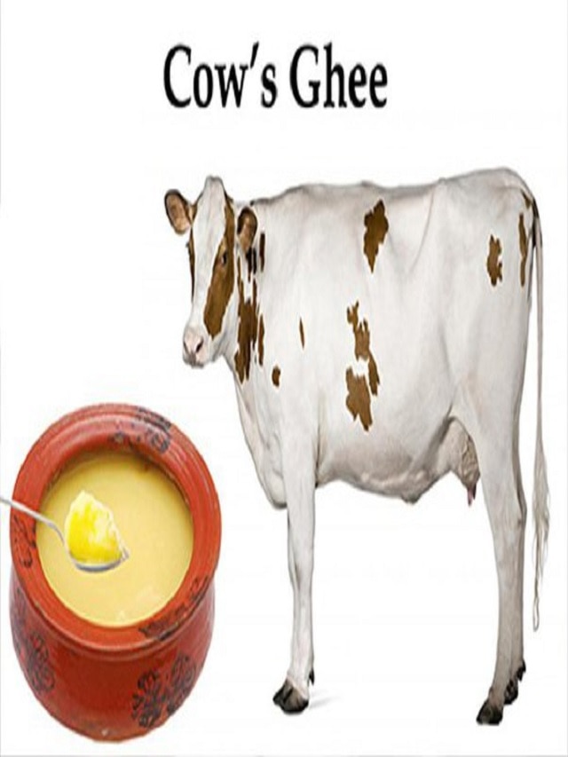 Benefits of cow ghee Old cow ghee will make brain as fast as a computer ...