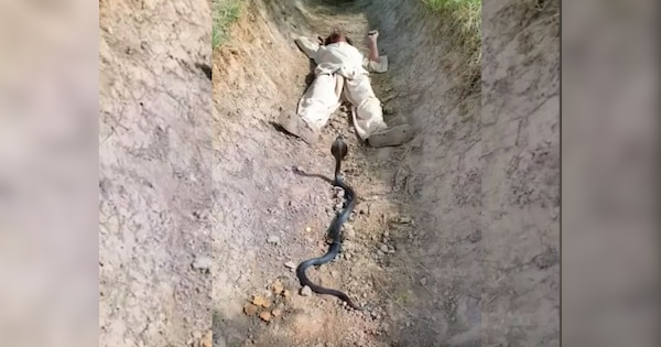 King Cobra Man was sleeping in field suddenly snake come watch video ...