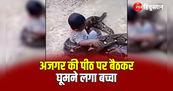 Little child ride dangerous python Started roaming around sitting back ...