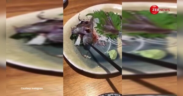 man started eating fish served in the plate she became alive opened his ...