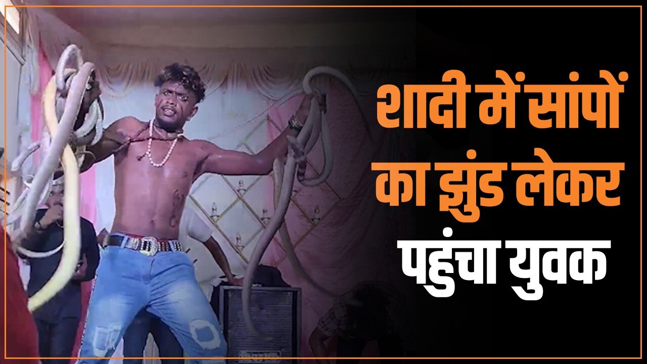 Snake Video Young man brought bunch of snakes to wedding see what ...