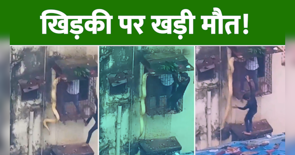 big python entered in home shocking video captured in camera video viral