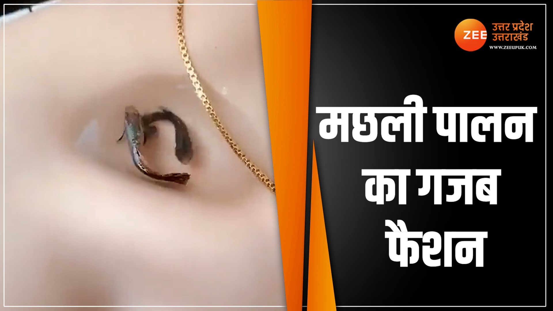 Bizarre news ajab gajab fish seen swimming in collarbone hole of woman ...