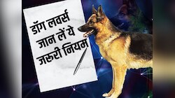 Dog Keeping Registration Fee की ताज़ा खबरे हिन्दी में | ब्रेकिंग और ...