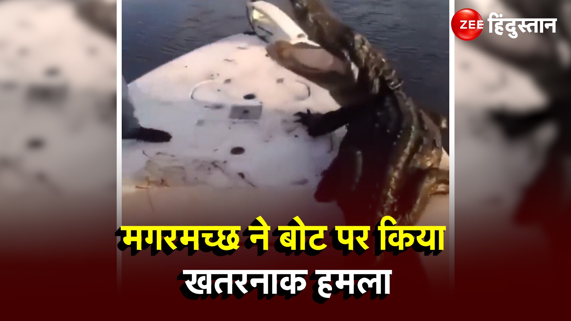 Crocodile attacked on boat people saved their lives with great ...