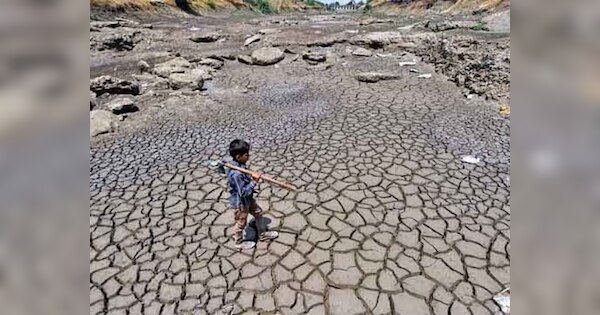 Sweden Environment Scientist Ravikant Pathak donate 25 acre land for ...