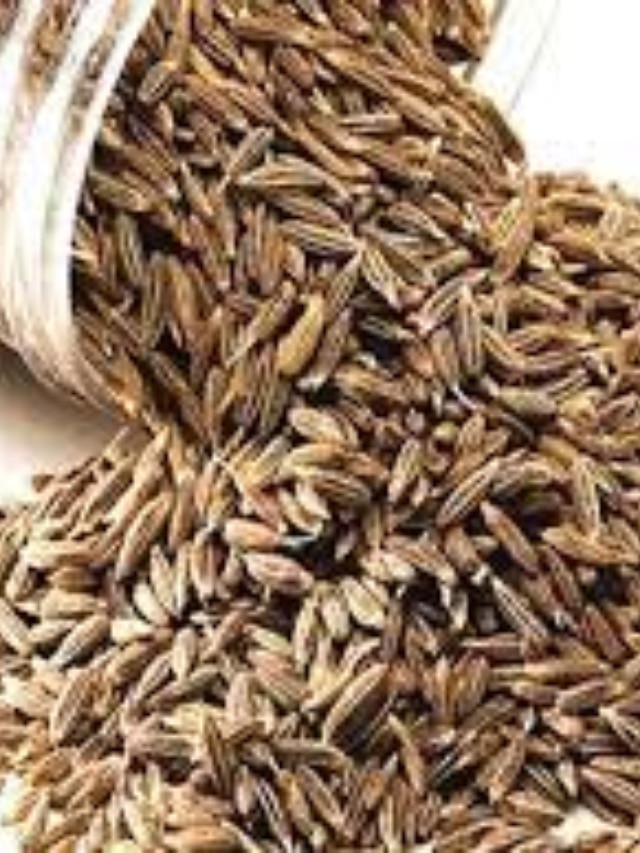 Jeera khane ke fayde from digestion to increasing appetite know the 7 ...