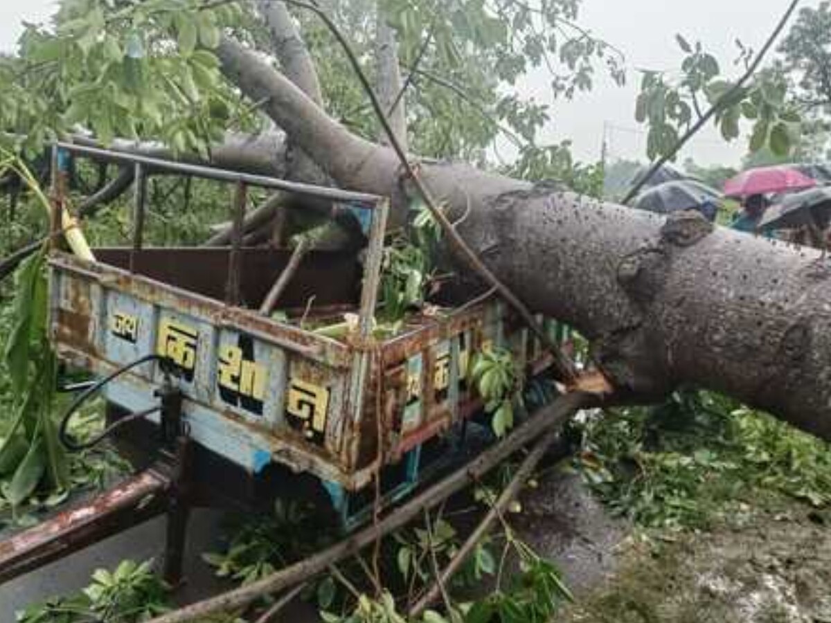 accident occurred during Ganesh visarjan in Alirajpur and Niwari many ...