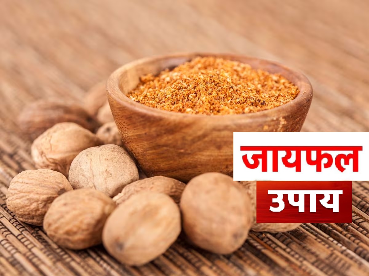 nutmeg astro remedies for money Jaiphal Ke Totke know Jayfal Ke Upay ...